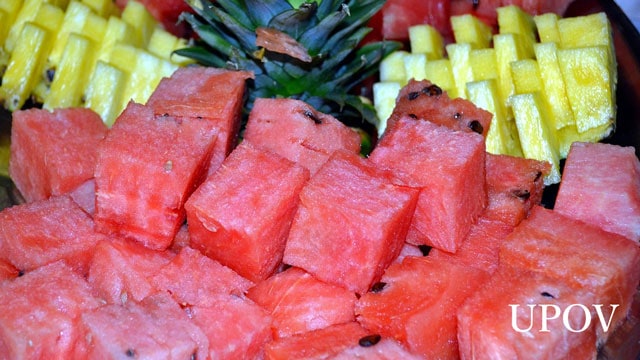 UPOV Video 植物新品種保護国際同盟(UPOV) Vol.11 商標_動画(embedded) - 商標登録出願の案内